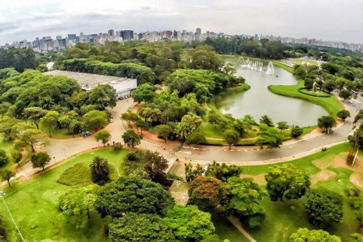 Ibirapuera : Últimas Notícias e Informações