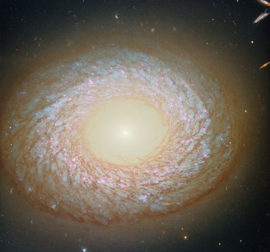 Estrela Ana Branca Nasa